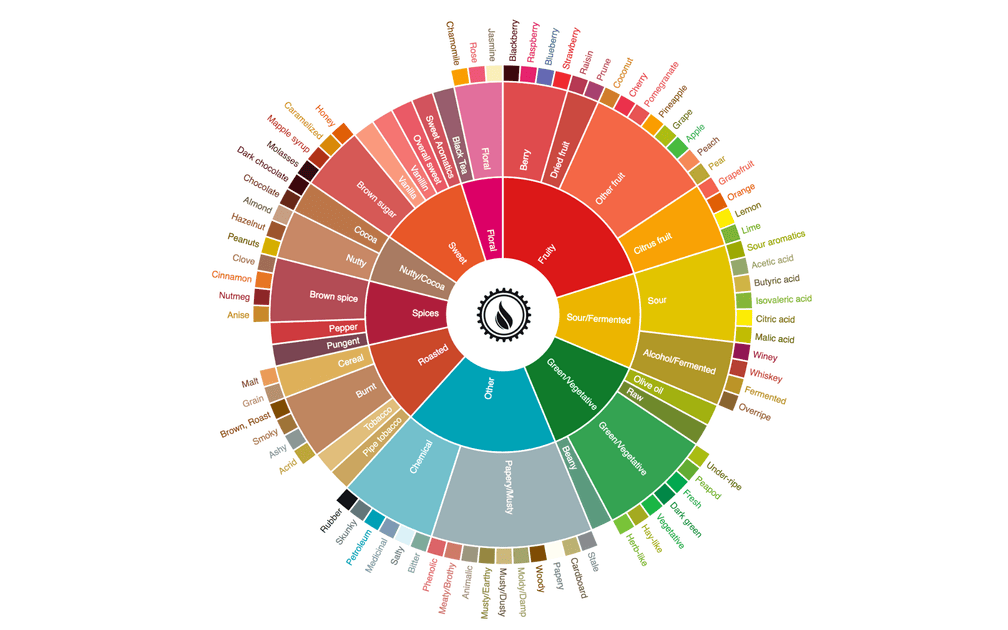 Exploring the Coffee Taster’s Flavor Wheel – Steel Oak Coffee